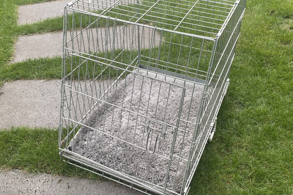 HONDEN OF KATTEN BENCH in Oosterbeek - Dieren en Toebehoren, Honden ...