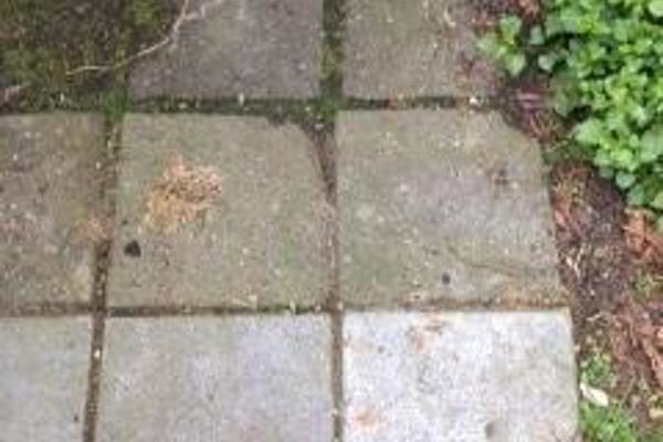 STOEPTEGELS in Nijmegen - Tuin en Terras, Tegels en Sierbestrating ...