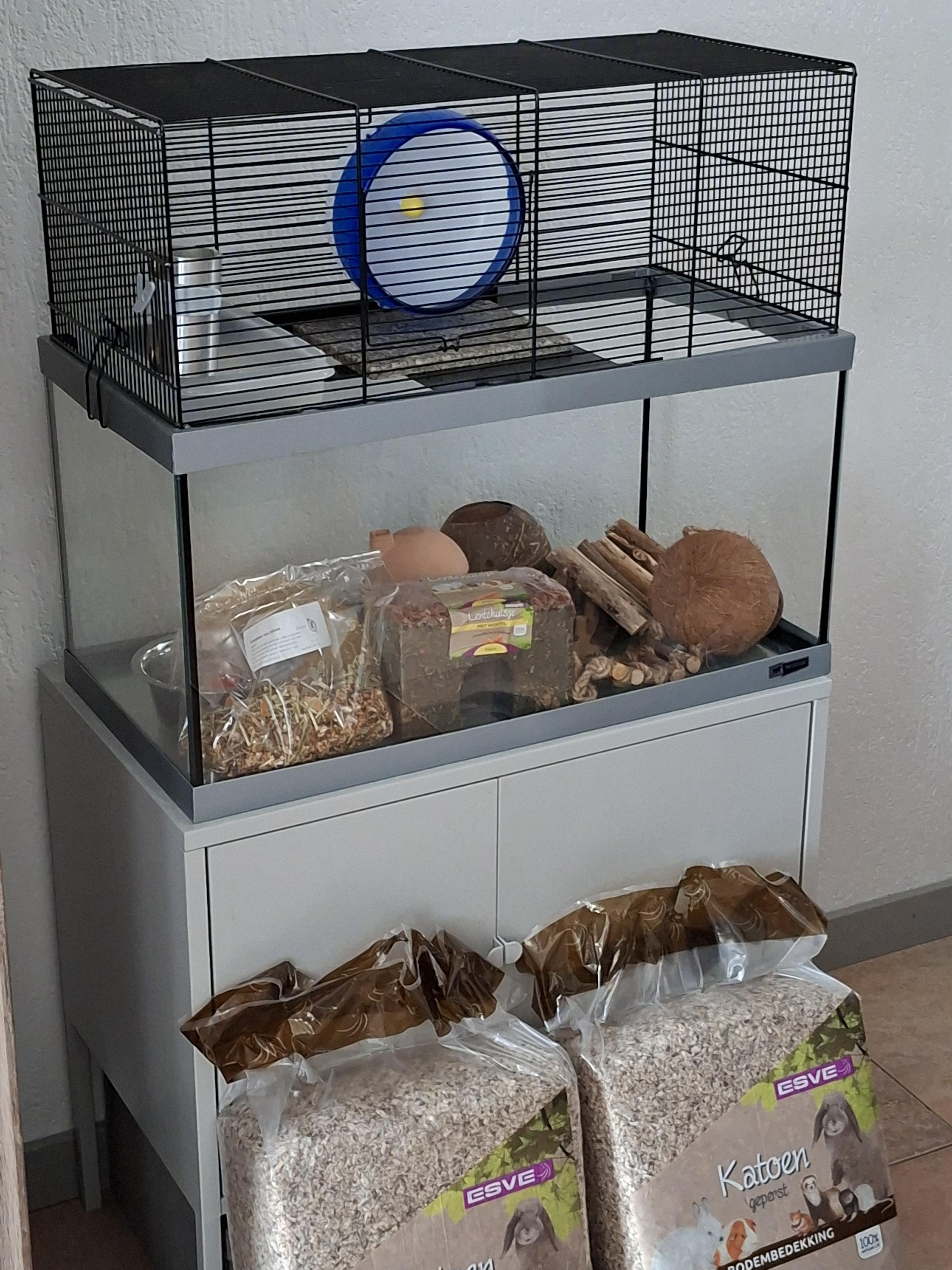 DWERGHAMSTER/HAMSTER INRICHTING EN VOER in 's-Hertogenbosch - Dieren en ...