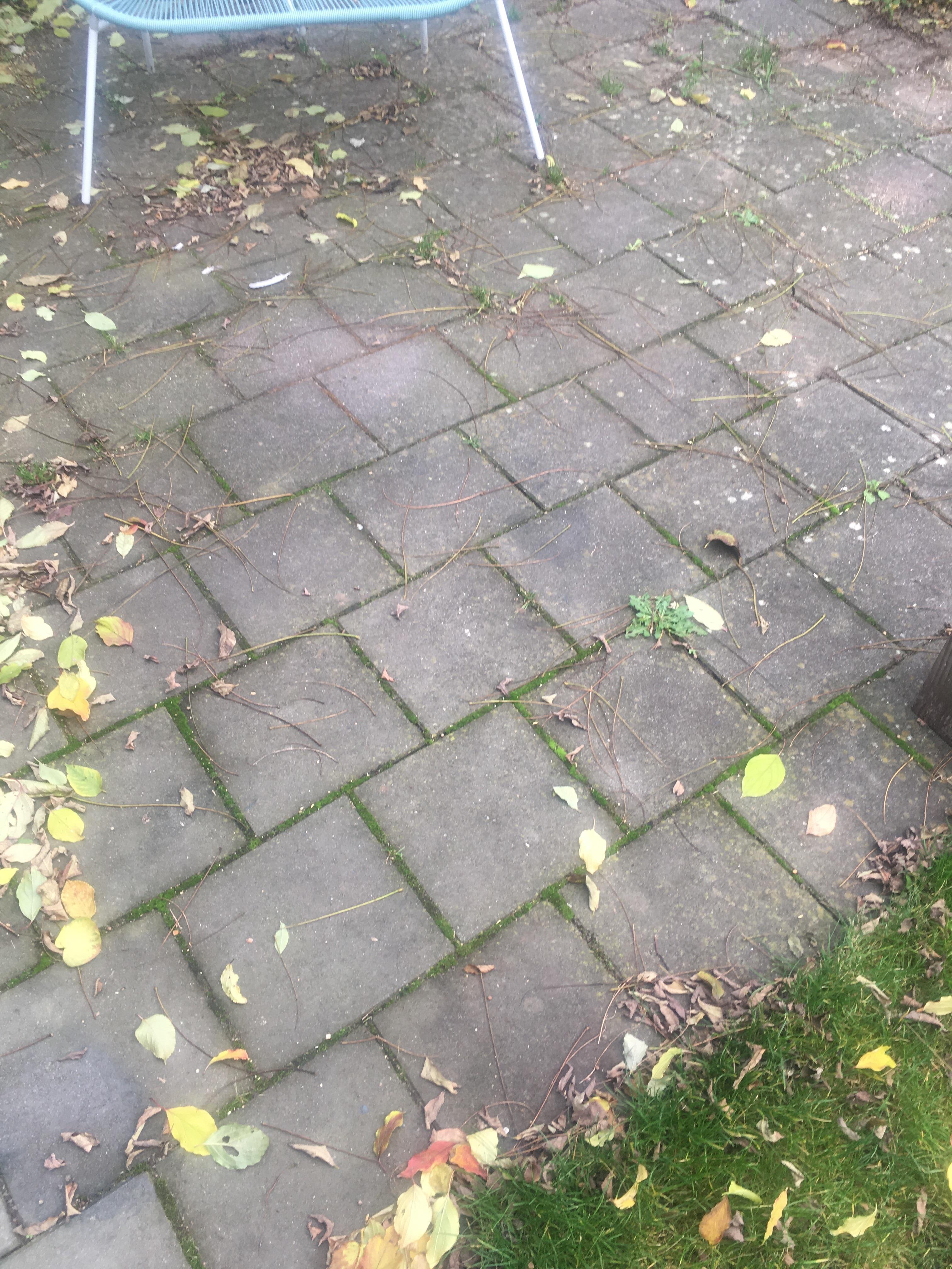 PRIMA UITZIENDE STOEPTEGELS. +- 21 M2 in Zwolle - Tuin en Terras ...