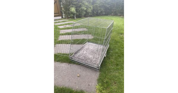 HONDEN OF KATTEN BENCH in Oosterbeek - Dieren en Toebehoren, Honden ...