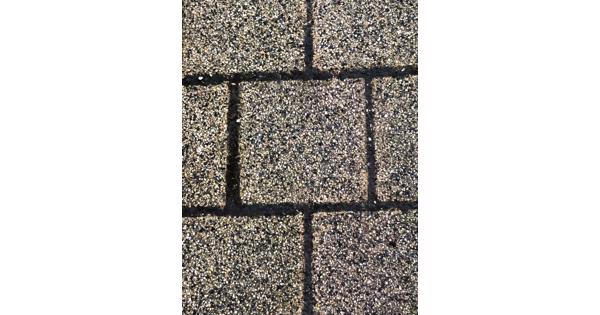 GRATIS TUINTEGELS 20X20 CM in Halsteren - Tuin en Terras, Tegels en ...